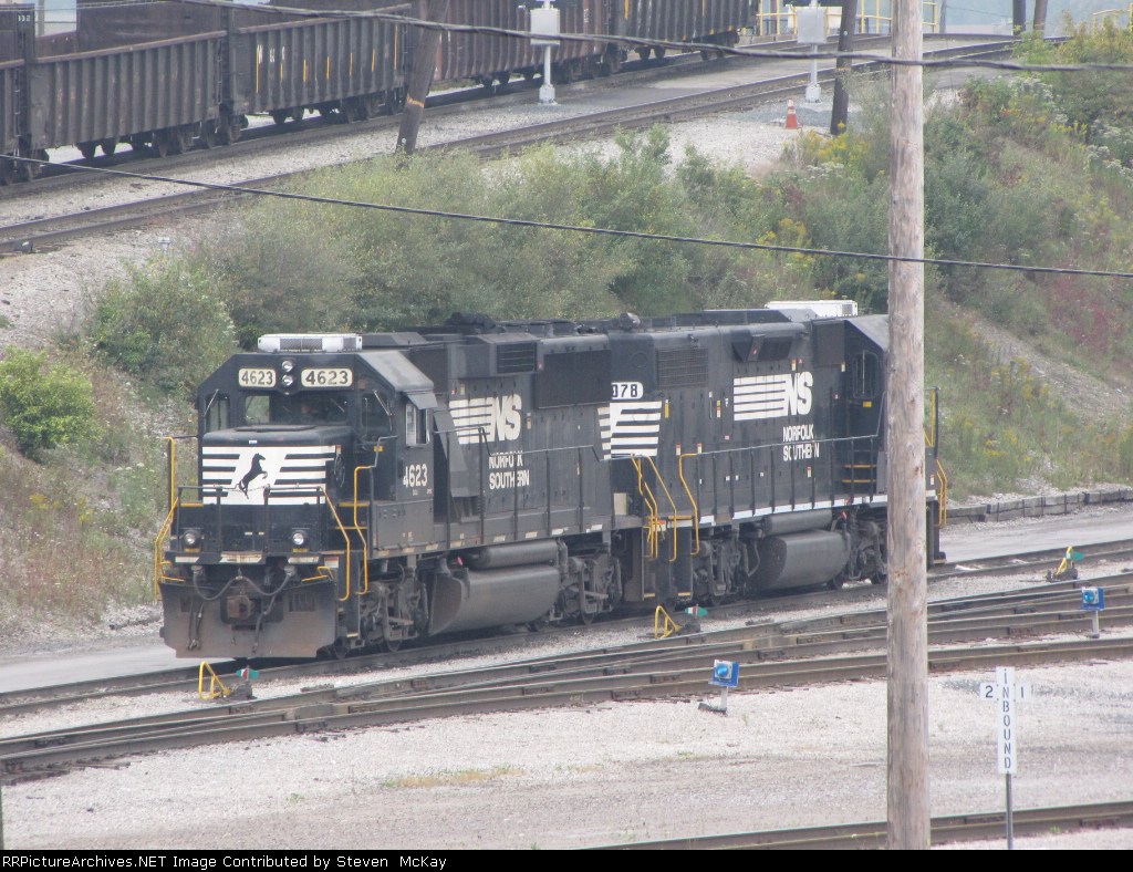 NS 4623